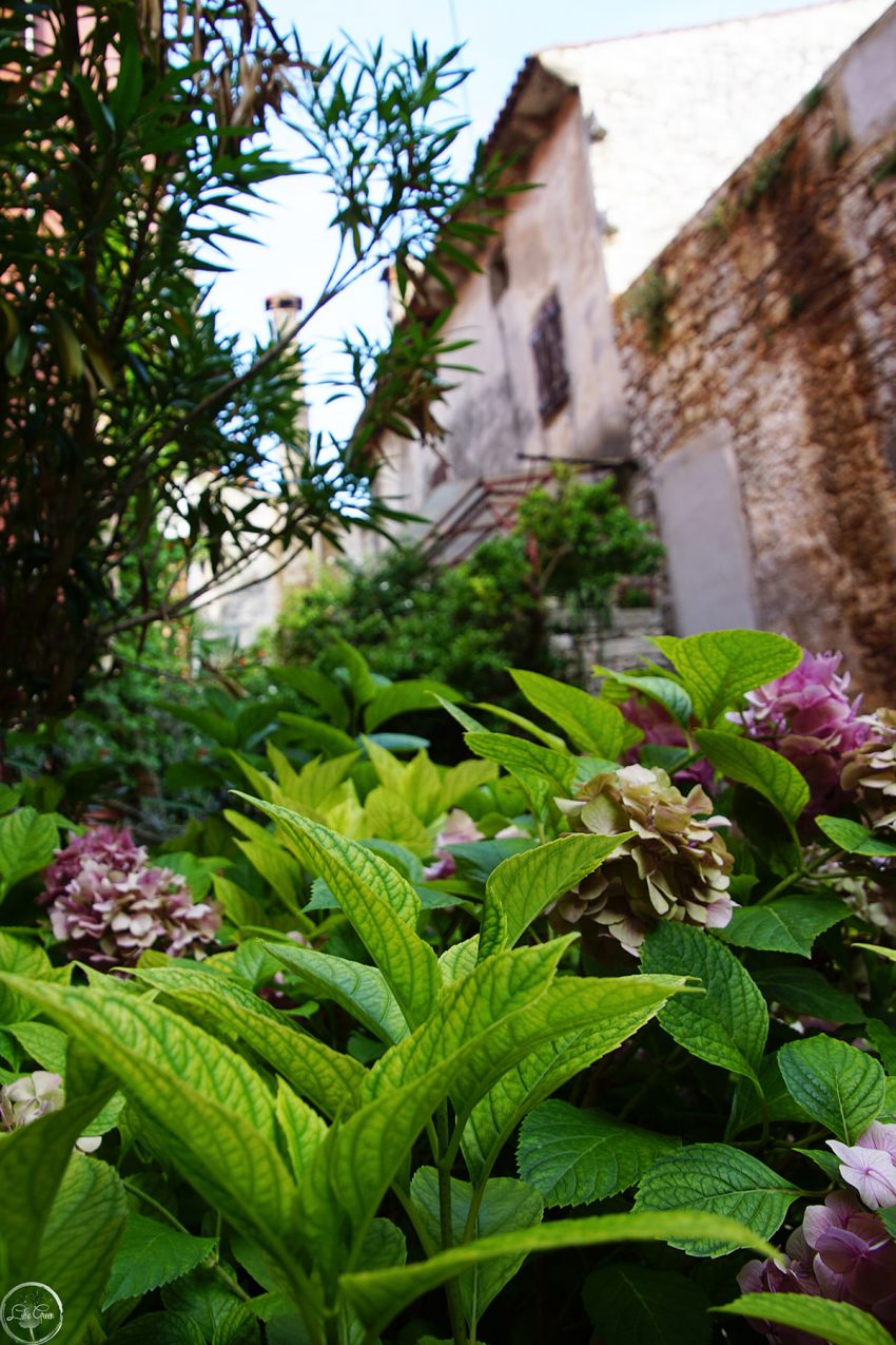 Bale Istria Croatia: A Hidden Gem You Need to Discover